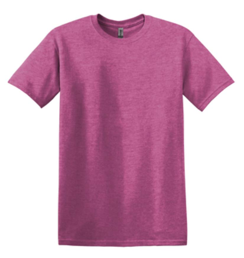 Gildan® Softstyle T-Shirt | The Neon South