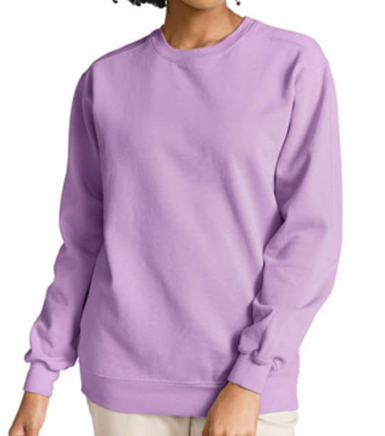 Comfort Colors Crewneck | The Neon South